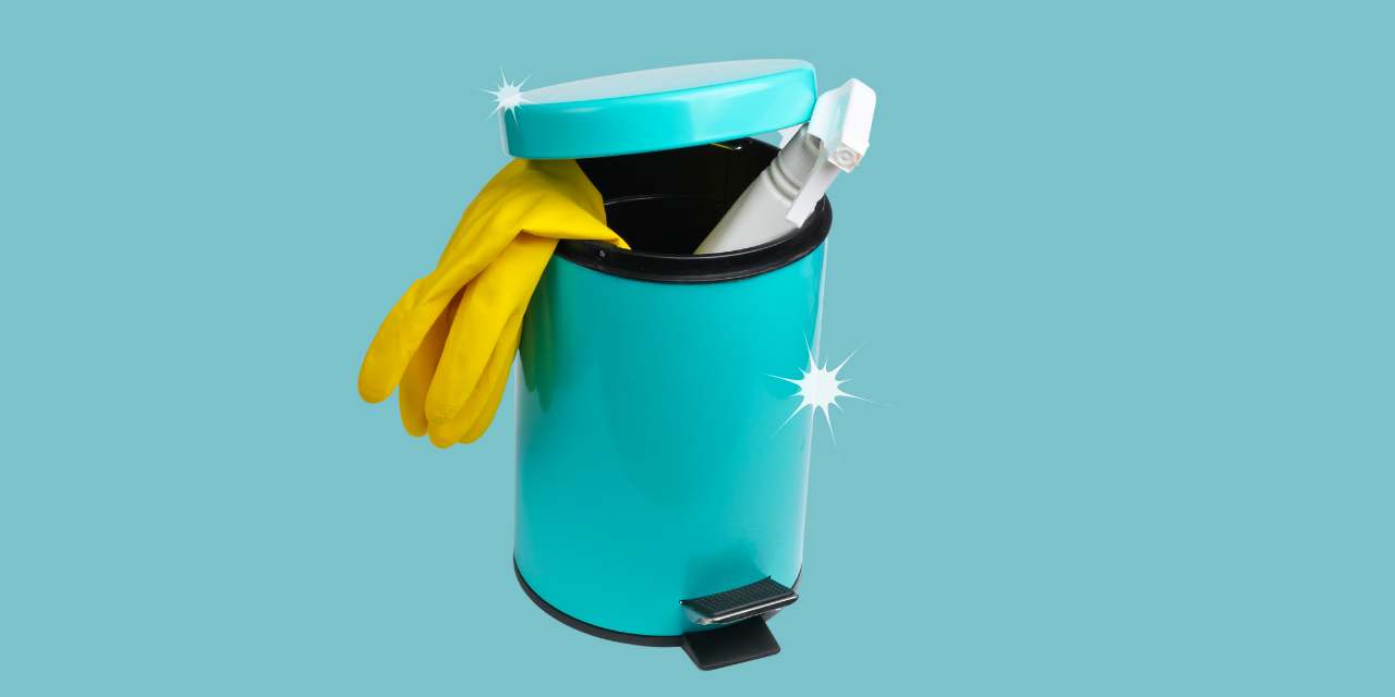 Ecozone's Ultimate Bin Cleaning Guide for a Happy and Healthy Bin