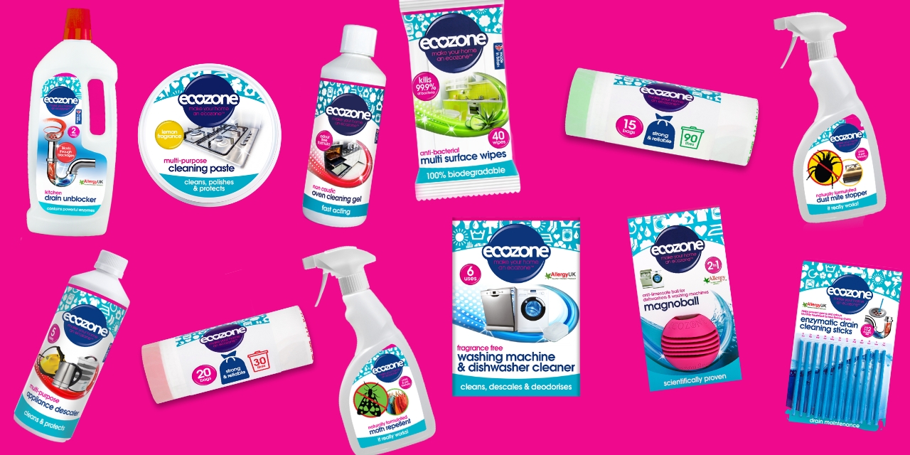 The Ecozone cleaning you loved most in 2021 - Ecozone